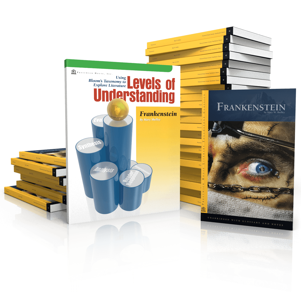 Levels of Understanding - Sample Request | Prestwick House