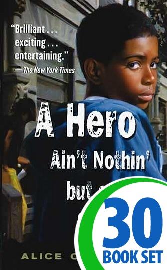 Hero Ain't Nothin' but a Sandwich, A - 30 Books and Response Journal ...