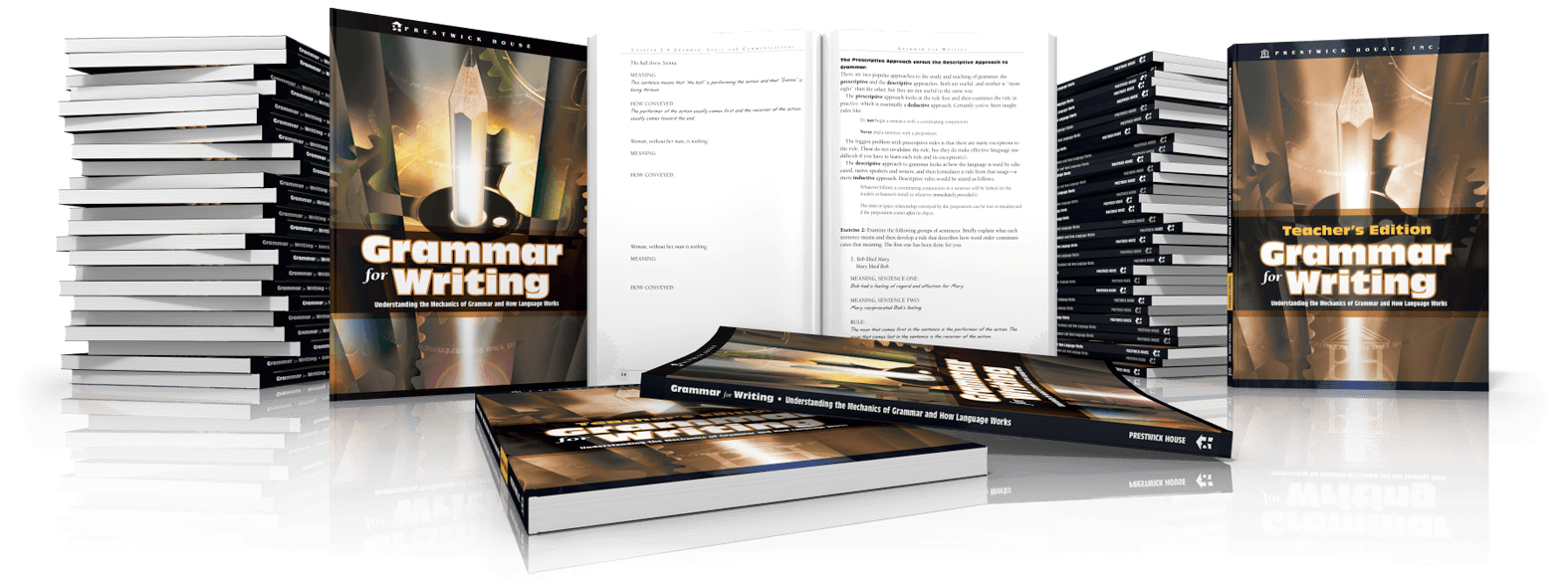 Mechanics of Grammar for Writing | Prestwick House